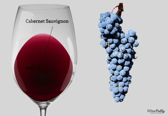 Las 5 cepas de vino más importantes